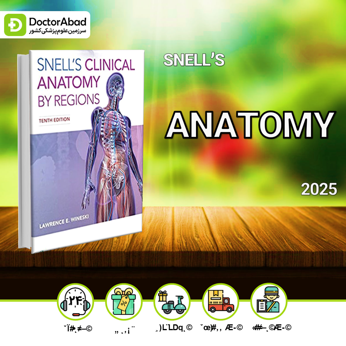 کتاب Snell’s Clinical Anatomy by Regions Tenth Edition 2025( انتشارات ...